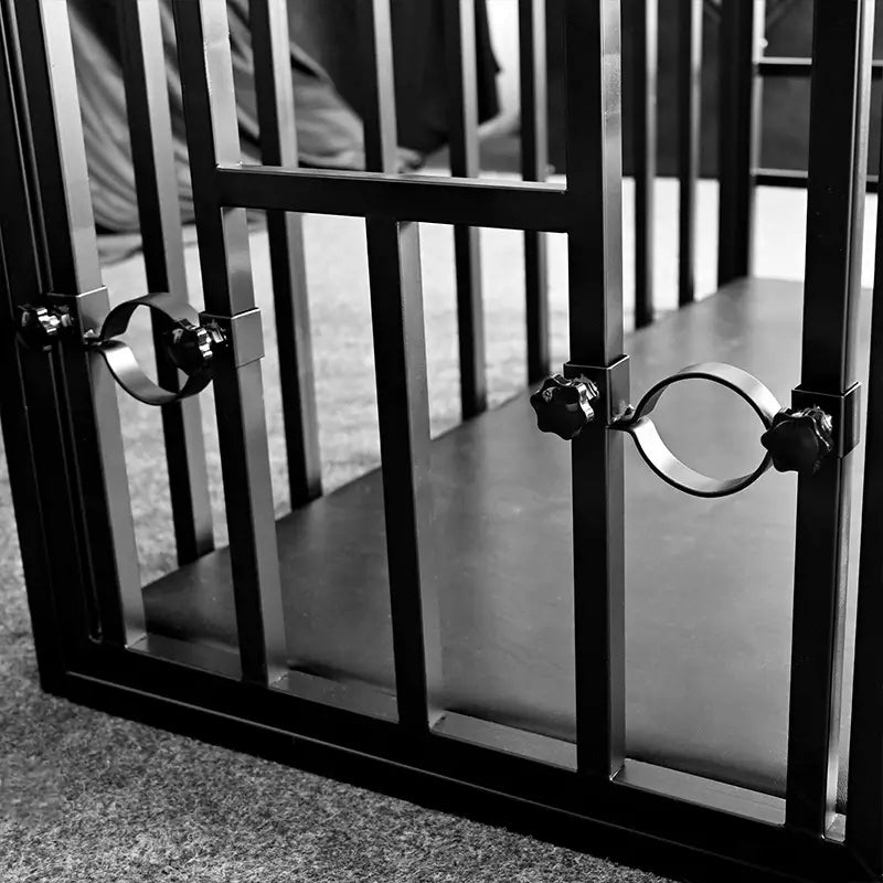 BDSM Cage: Double-Lock Position Cage | Heavy-Duty Bondage Cage